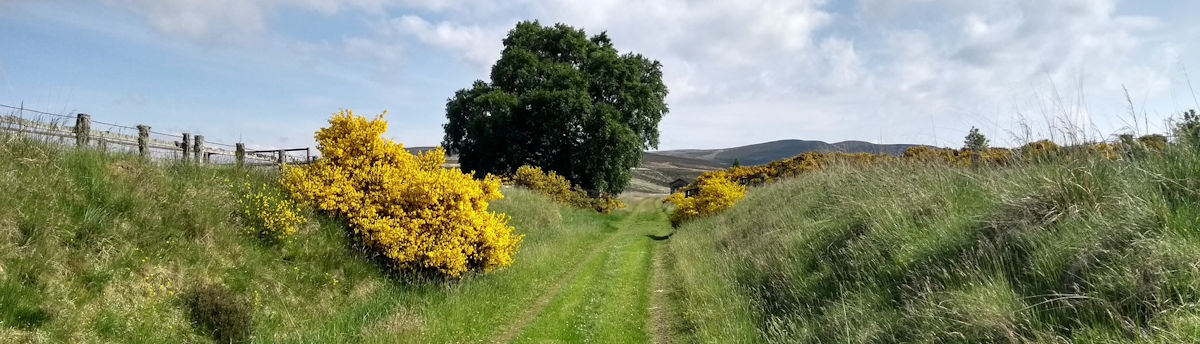 The Moray Way – Moray Field Club
